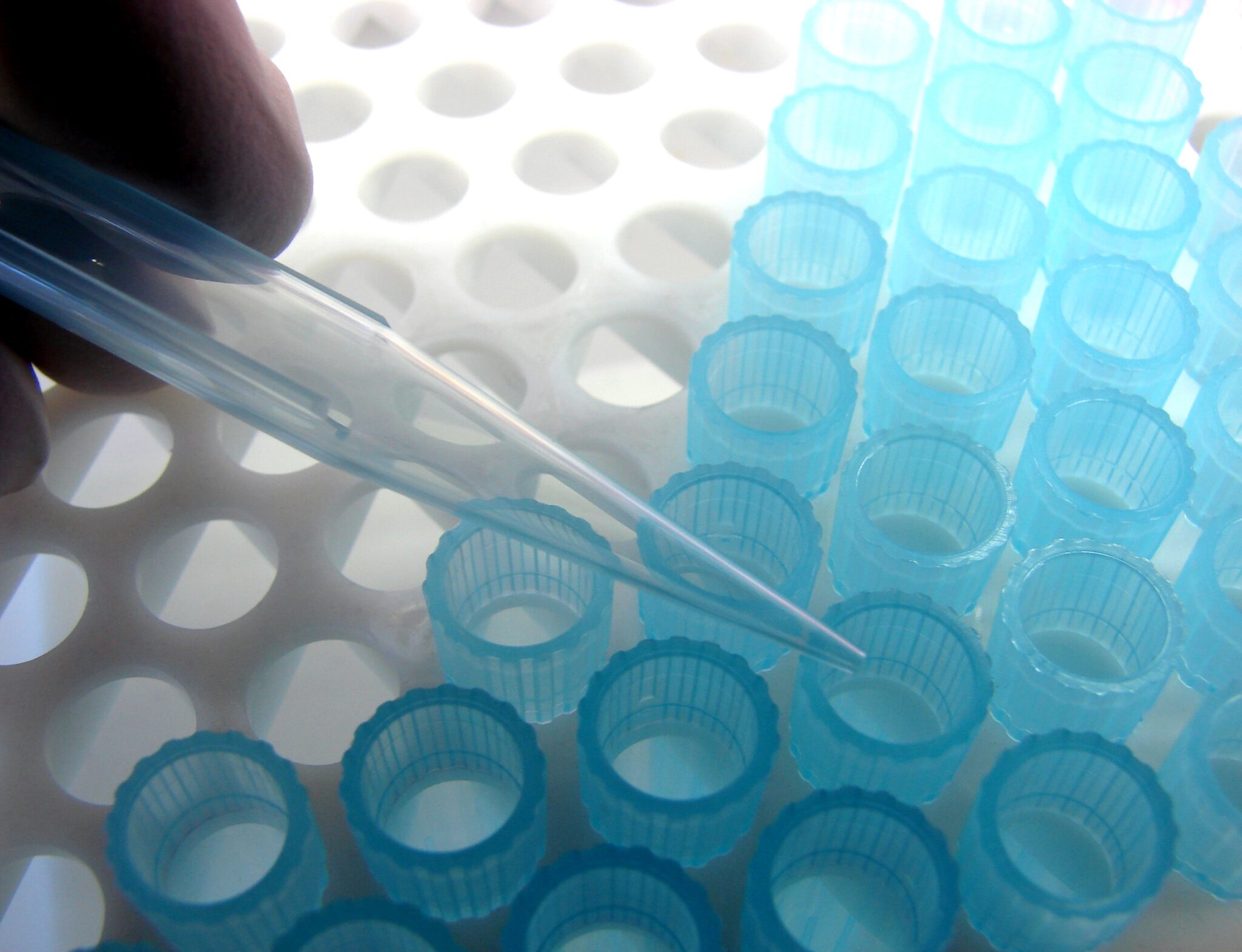 La biobanque ou biobanking : une notion à construire - Lexing Avocats